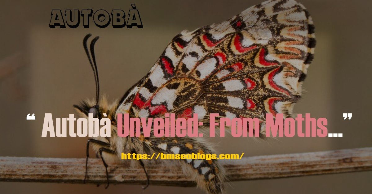 Autobà Unveiled: From Moths to Modern Transportation Solutions - BM SEO ...